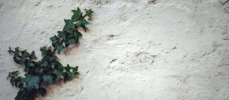 Reasons you should paint a stucco exterior - Commercial painting
